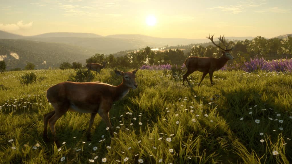 theHunter COTW: Cuatro Colinas Reservat | gaming-grounds.de