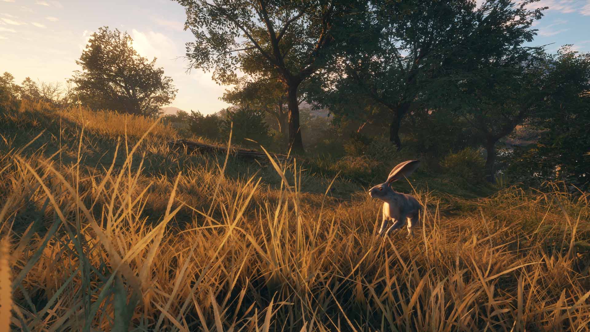 theHunter COTW: Rancho del Arroyo DLC Release-Termin steht fest ...